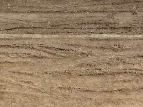 irregular dirt road 0038 - Texturelib